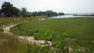 12 Places to Visit Along the Bronx River - Bronx River Alliance