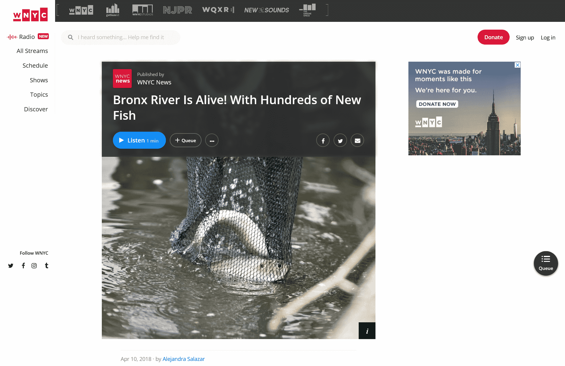 Bronx River Is Alive! With Hundreds of New Fish - Bronx River Alliance
