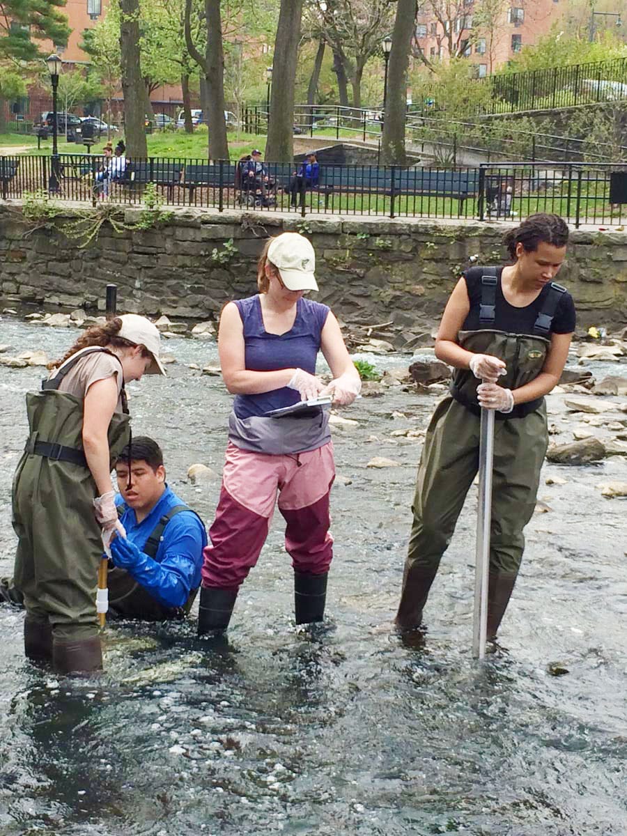 Restoring the Ecology - Bronx River Alliance