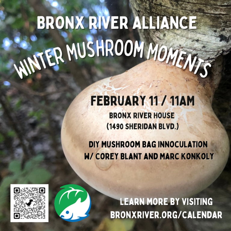 The Bronx River: An Interactive Map - Bronx River Alliance