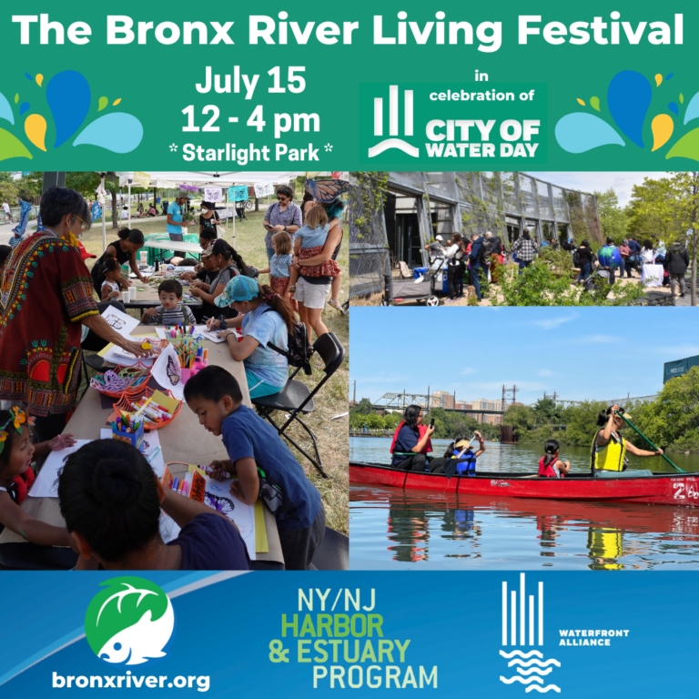 The Bronx River Living Festival - Bronx River Alliance