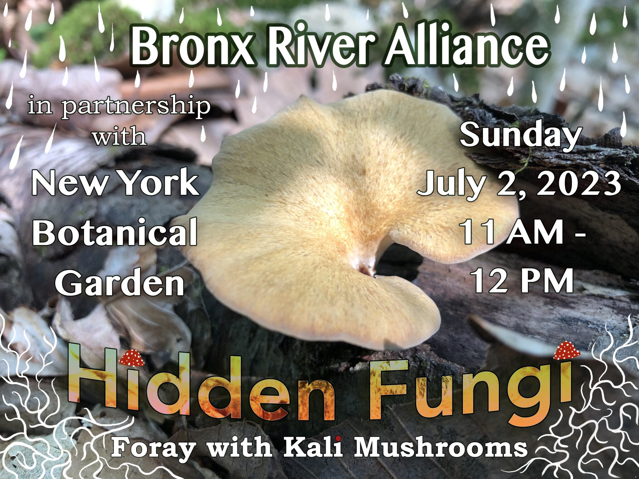 Hidden Fungi with Kali Mushroom and Journei Bimwala - Bronx River Alliance