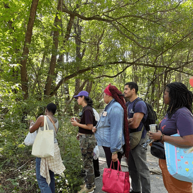 Foragers Gathering hosted by the Bronx River Foodway Team - Bronx River ...