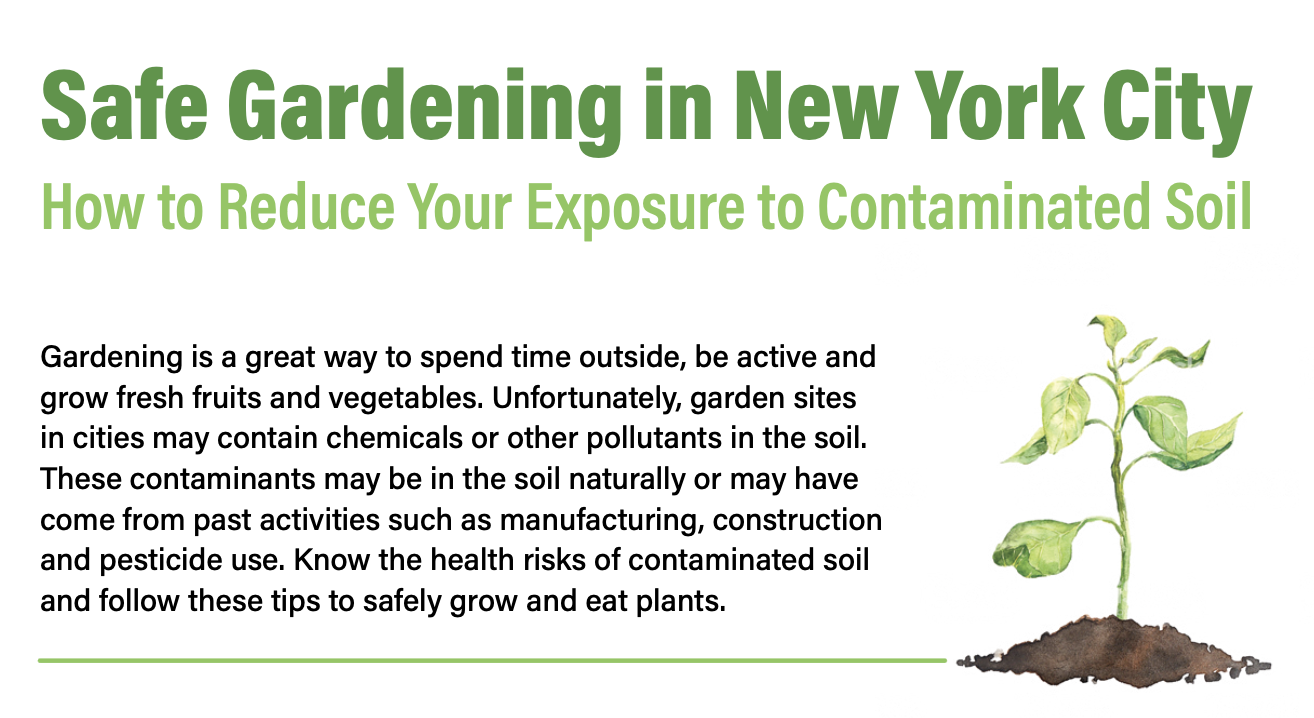 Soil Resource - Safe Gardening in NYC - Bronx River Alliance